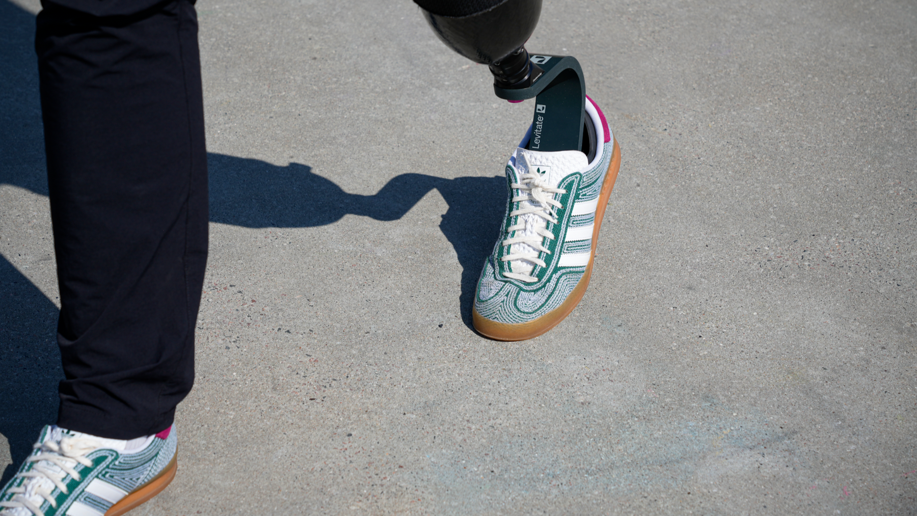 Levitate Professionals